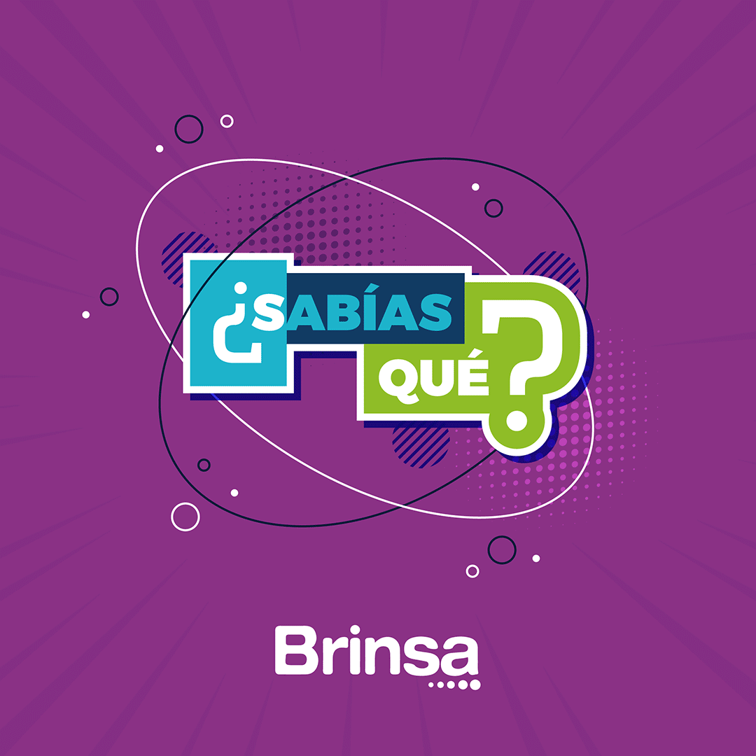 Boletín Edición 50 - Boletín Brinsa